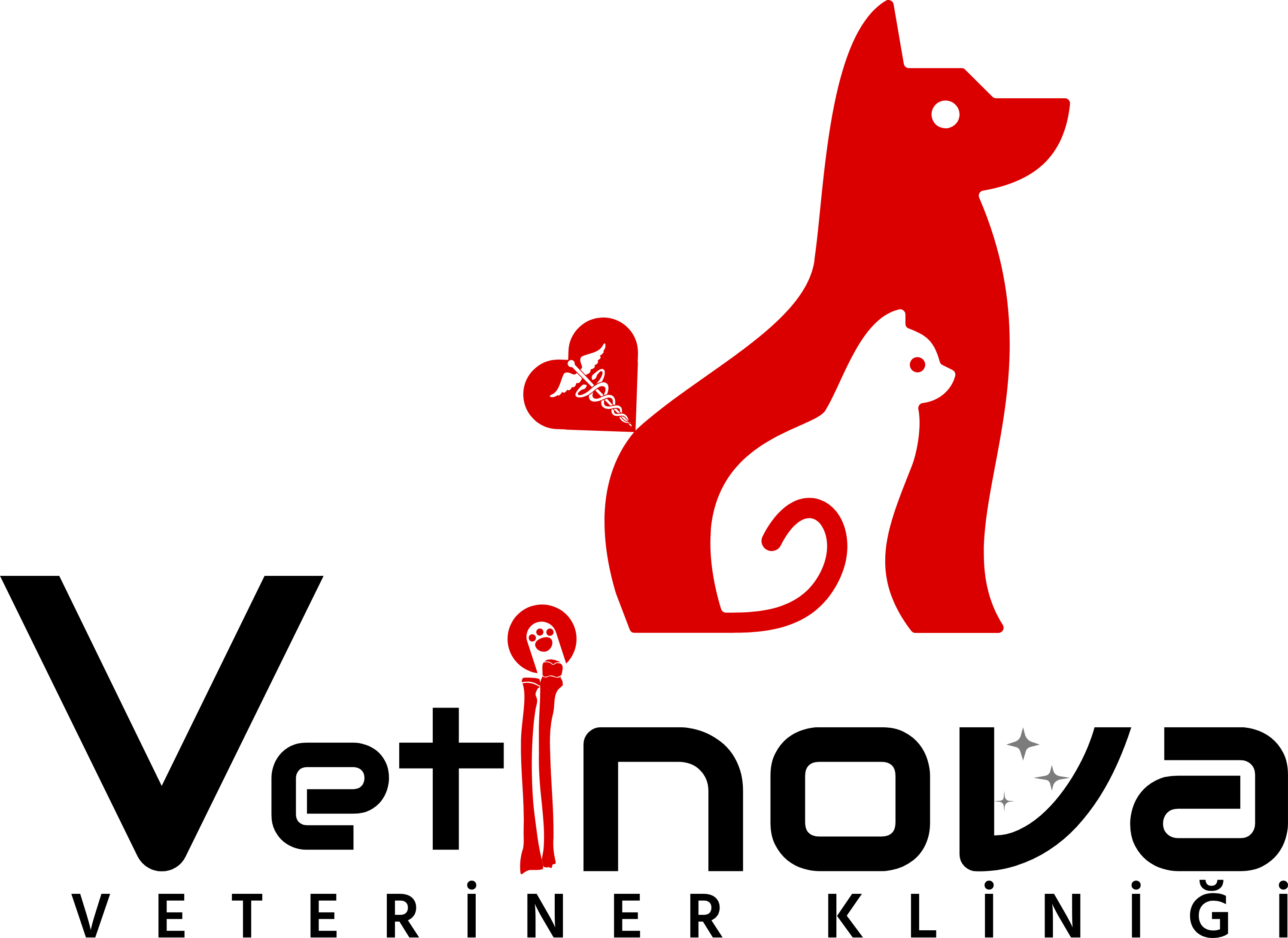 TheraVet Renal Kedi Köpek Böbrek Destekleyici Yenilebilir Tablet - Vetinova Veteriner Kliniği Blog