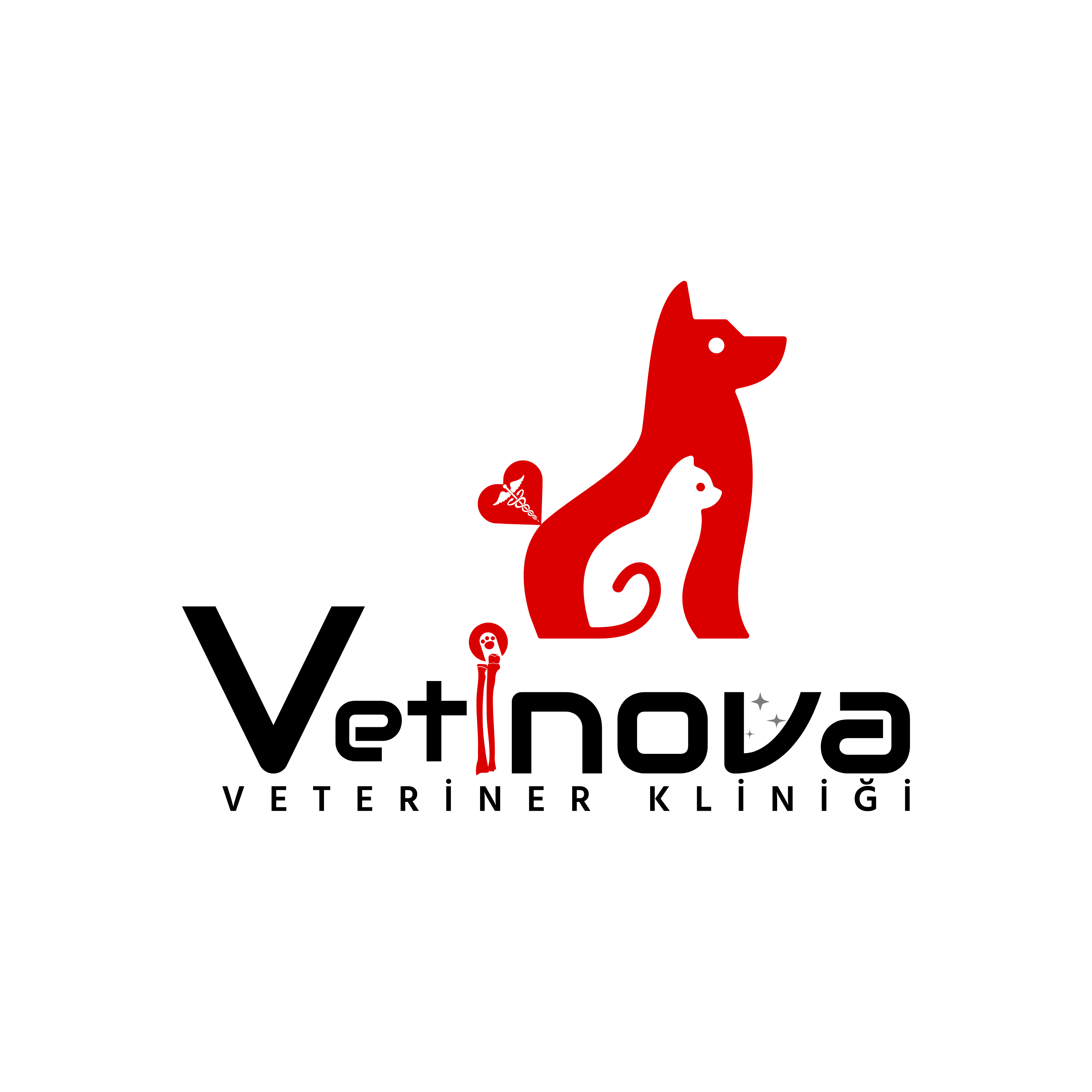 TheraVet Renal Kedi Köpek Böbrek Destekleyici Yenilebilir Tablet - Vetinova Veteriner Kliniği Blog